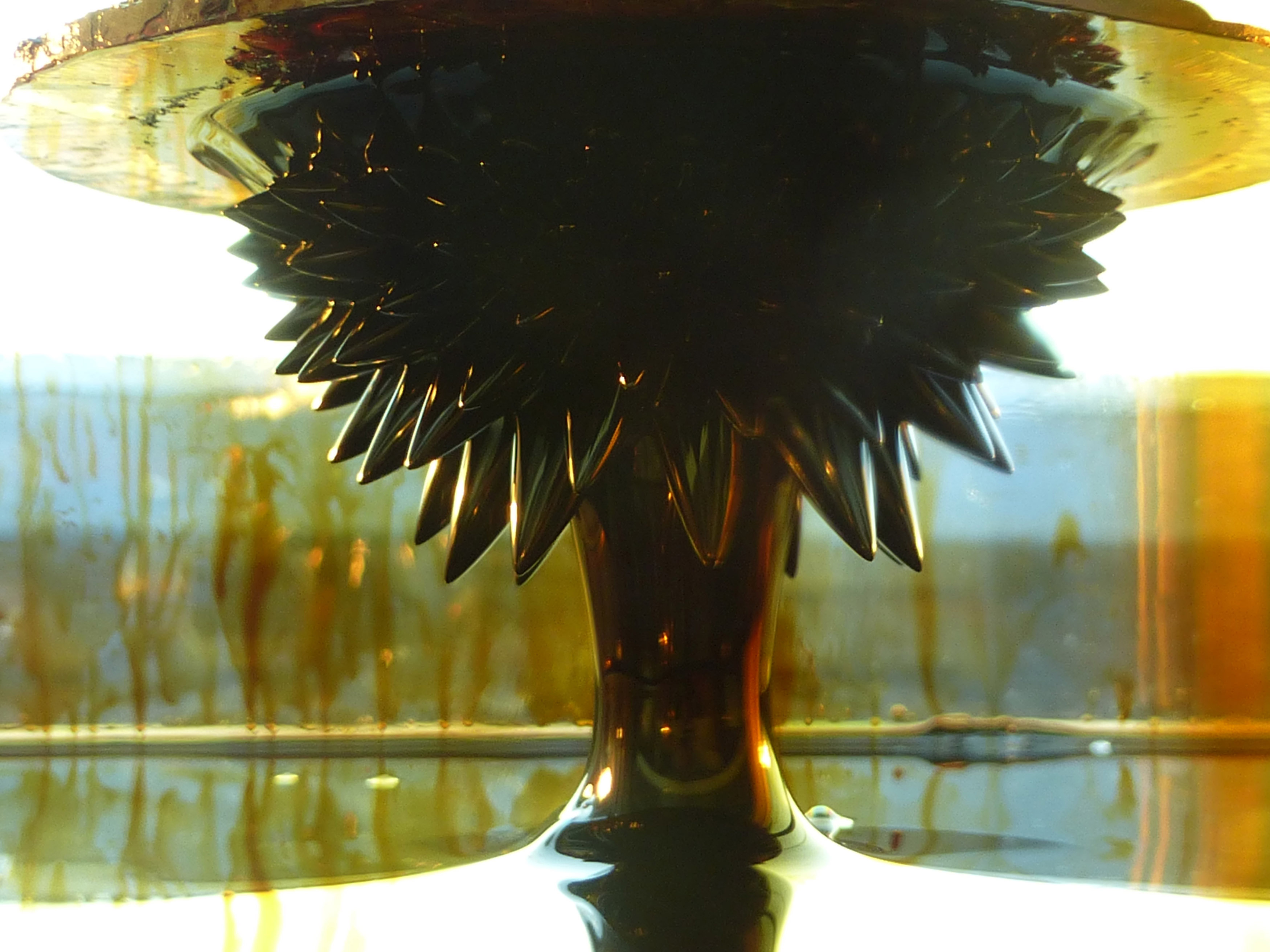 Free Stock image of Magnetism lines in a magnetic fluid or ferrofluid ...